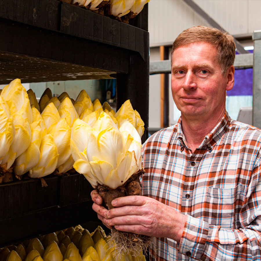 index - Chicorée Produktion NRW